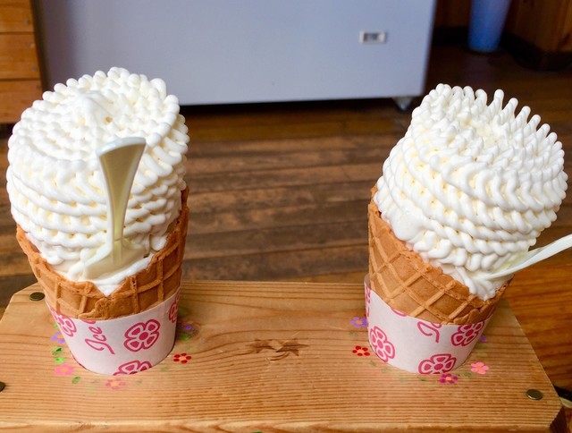 料理写真 : ついんスター - 菊池市その他/ジェラート・アイスクリーム | 食べログ