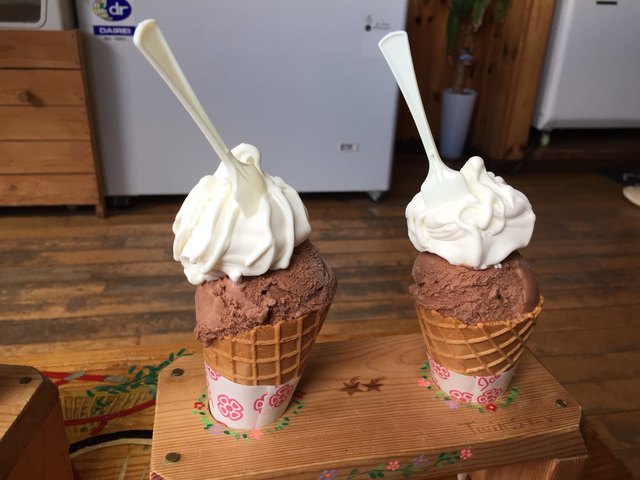 料理写真 : ついんスター - 菊池市その他/ジェラート・アイスクリーム | 食べログ