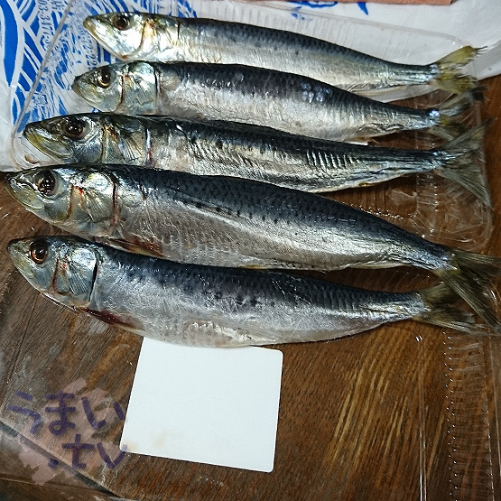 ひみ番屋街江政 （ヒミバンヤガイ エマサ） - 氷見/その他 | 食べログ