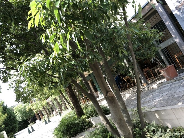 外観写真 : カフェボスケ （cafe au Bosquet） - 大宮/カフェ | 食べログ