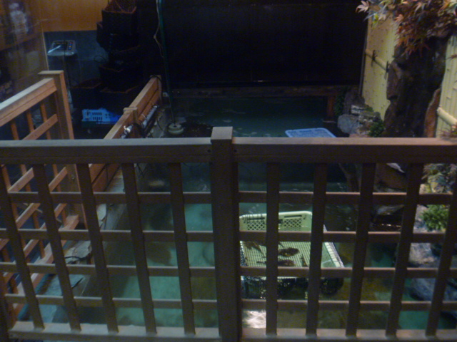 内観写真 : てん新 - 大村/海鮮 | 食べログ