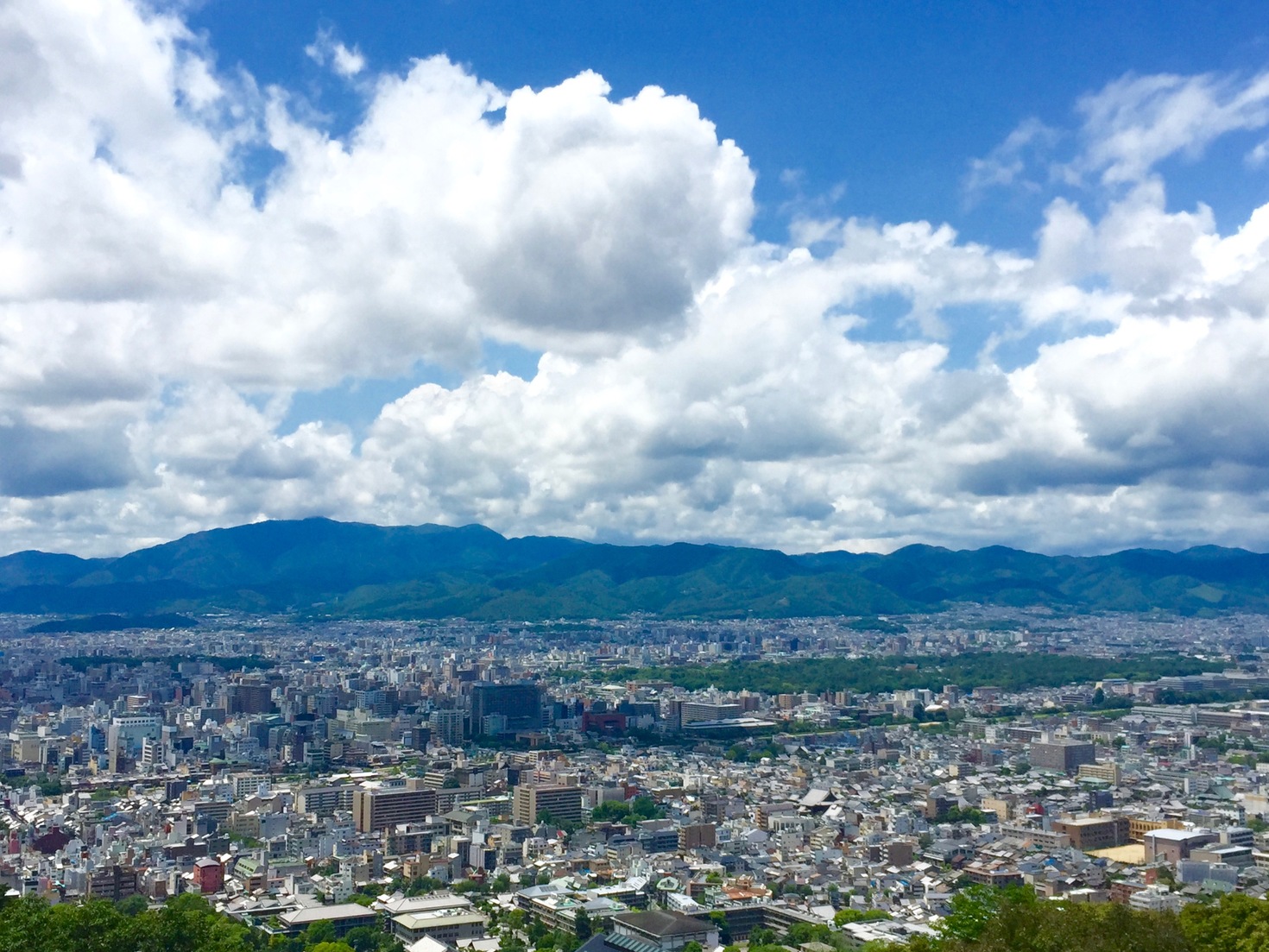 mm5-3さんのトップページ [食べログ]